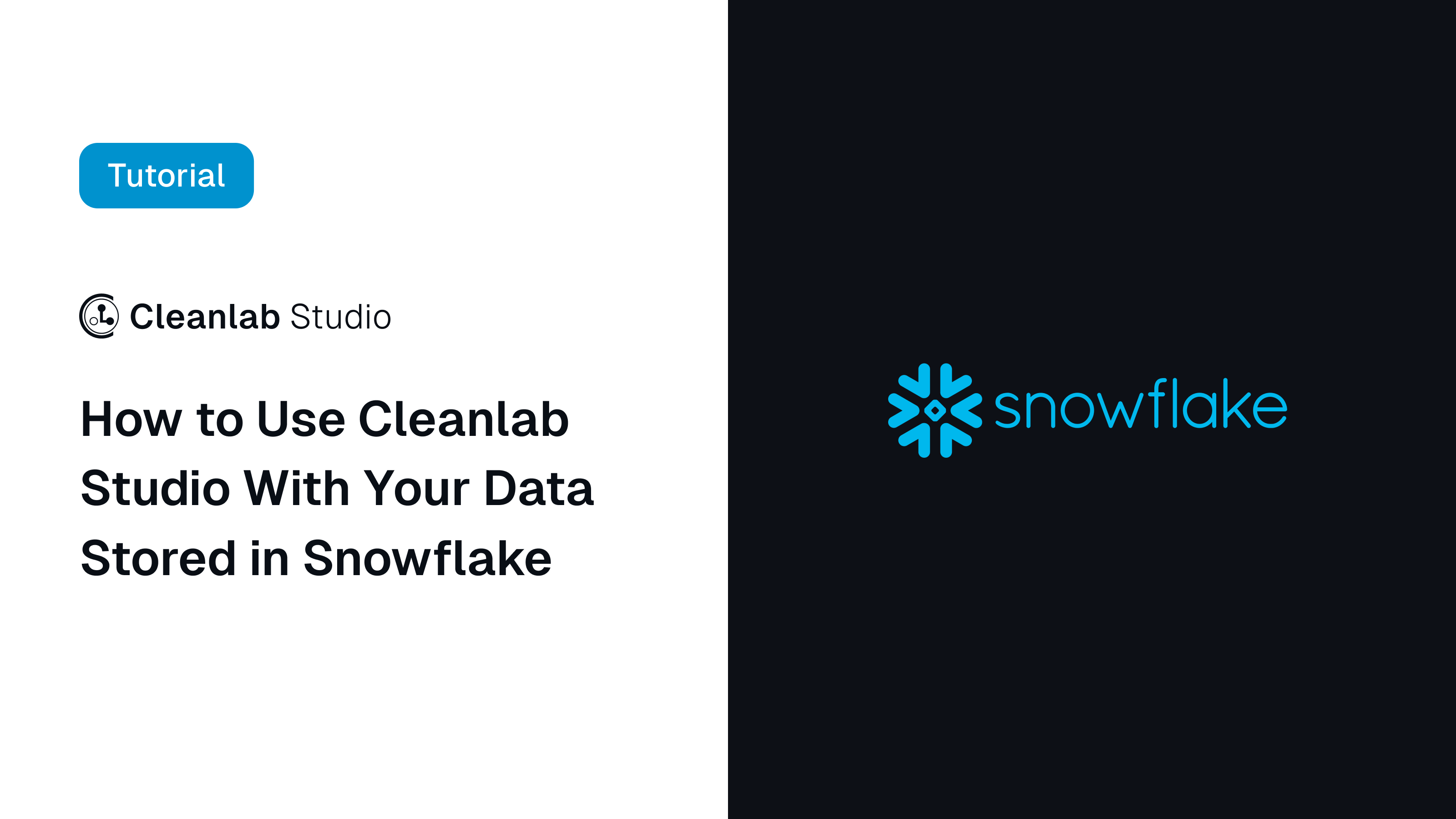 How to Use Cleanlab Studio With Your Data Stored in Snowflake | Cleanlab Documentation